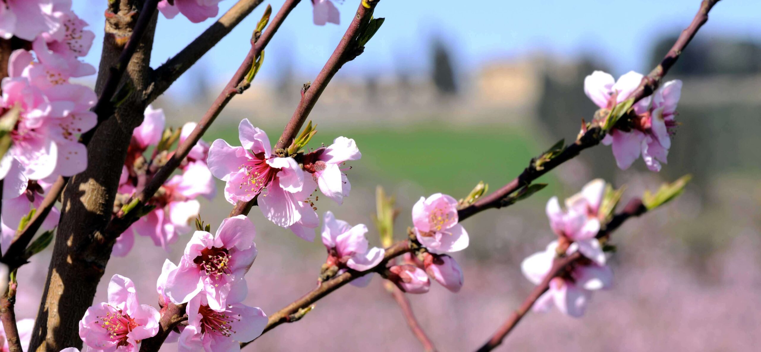 10 idee per il weekend del I maggio | Mete weekend